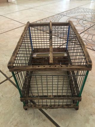 gabbietta per uccelli