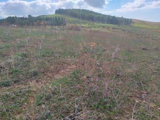 Vendesi terreno agricolo offertissima
