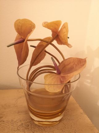 vaso artificiale