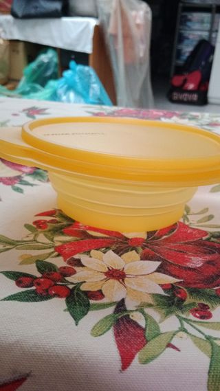 ciotole Tupperware 