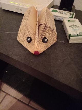 libro topo fatto a mano