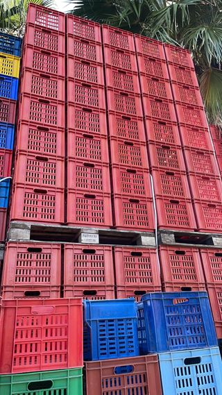 Cassette di plastica per tanti usi 