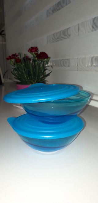 Set di 2 ciotole Eleganzia tupperware 