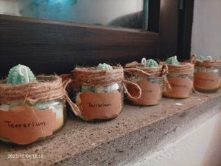 terrarium in cera di soia, handmade