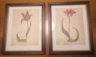 Due quadretti stampe fiori di Judith Leyster