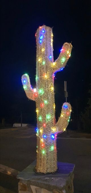 cactus 🌵 🌵  de esparto natural con luces