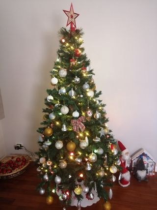 Albero di natale 