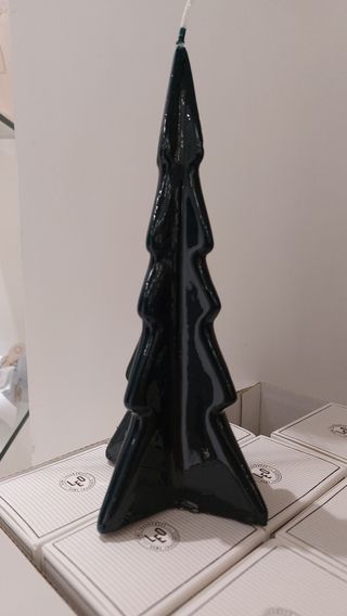Candela albero verde