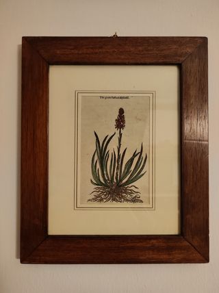 quadro con stampa originale