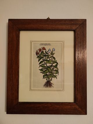 quadro con stampa originale