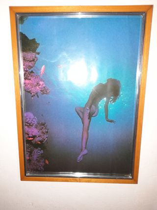 Bel quadro tenuto in perfetto stato misura 46×65.