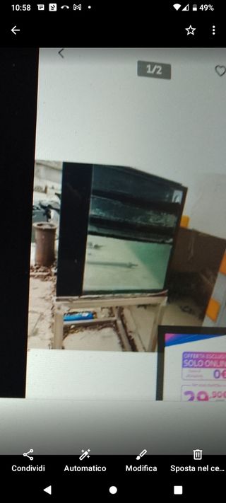 Acquario  pesci trasparente 