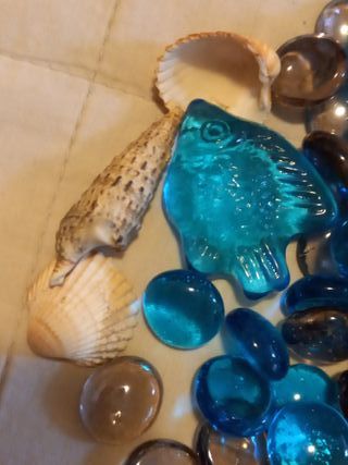 Sassolini di vetro colorati e conchiglie per acqua