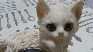 Ciotola acqua con gatto in resina