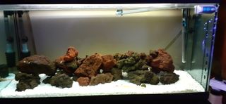 Acquario completo 200 litri