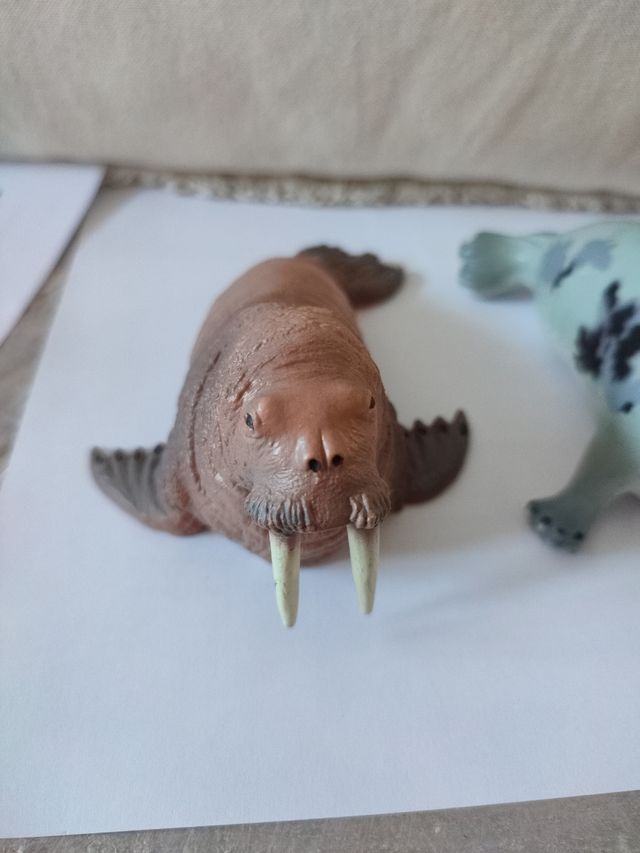 Morsa y foca de segunda mano por 10 EUR en Madrid en WALLAPOP