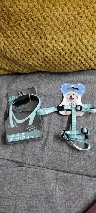 guinzaglio e pettorina per cani 