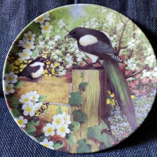 piatto decorativo Coalport, Yung Apprentice