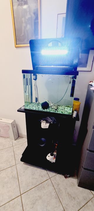 acquario laguna led 50litri con supporto