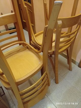 Sedie in legno Torchetti.