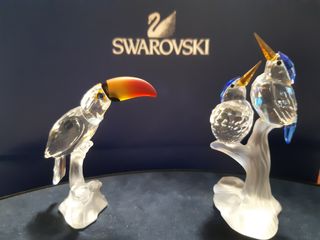 Set uccelli tropicali