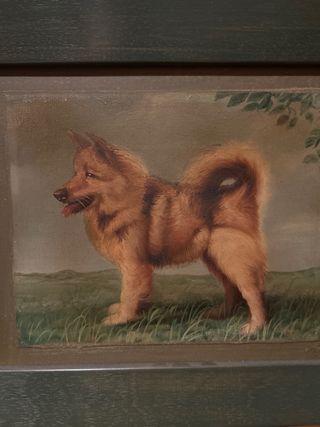 Quadro