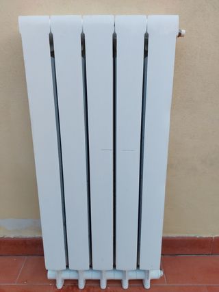 Termosifone in alluminio 