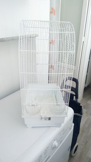 gabbia uccelli o pappagalli 