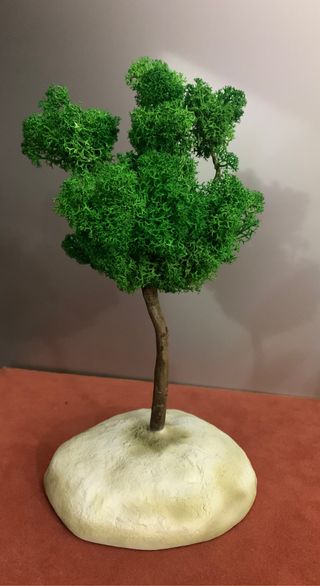 Bonsai lichene stabilizzato (muschio stabilizzato)