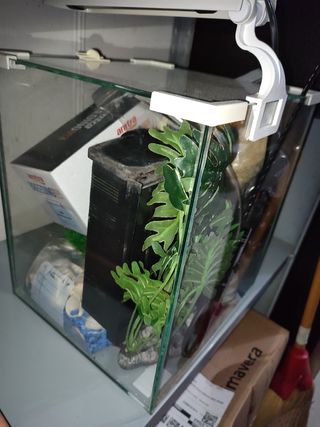 Acquario da 20 litri 