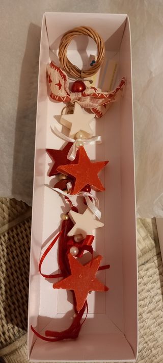 Vischio Natale 🤶
