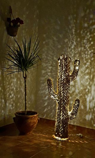 cactus 150 cm