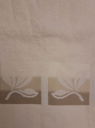 set asciugamani e ospite