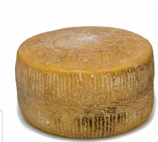 Forme di pecorino 