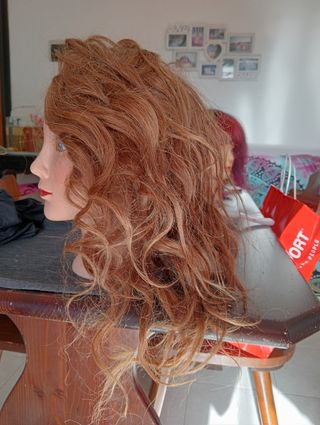 teste professionali parrucchieri 