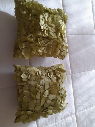 Coppia di cuscini arredo