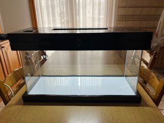 Teca per terrario o paludario