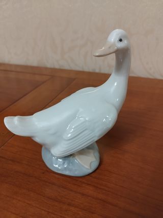 Anatra Nao