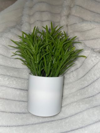decorazione della tavola
