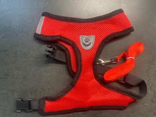 Pettorina per cani di piccola taglia e gatti