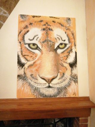 quadro tigre