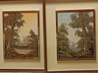 N. 2 quadri ad olio paesaggi cornice legno 