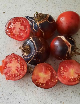 Semenze pomodori Crack Black