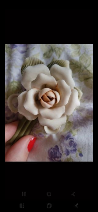 rosa fiore in pasta di sale