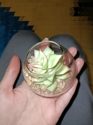 Vaso con pianta grassa finta e ciottoli