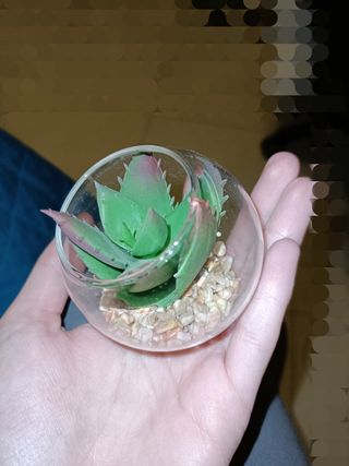 Vaso con pianta grassa finta e ciottoli