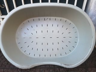cuccia