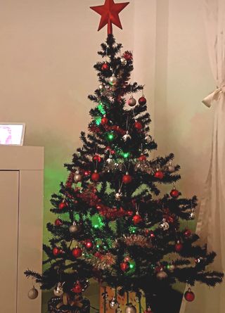 Albero di Natale