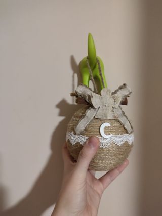 Decorazione natalizia