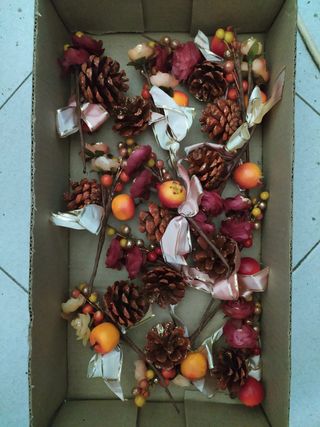 Rami decorativi pigna frutta Natale